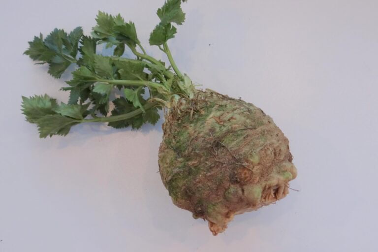 Wat zijn knolgroenten - Culinea.nl;