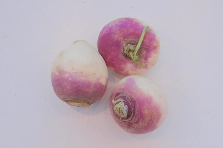 Wat zijn knolgroenten - Culinea.nl;